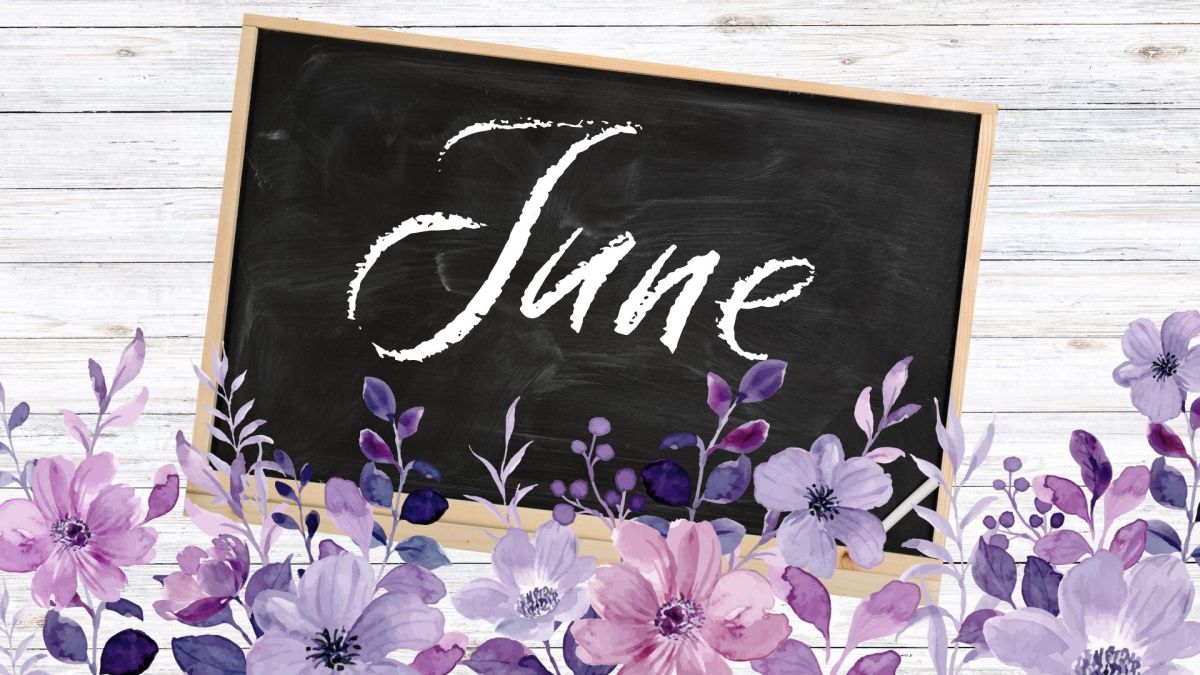 June Recap – Phoebe Dyer Portfolio